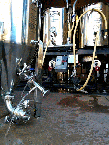 Homebrewing Gallery, the best homebrew, homebrewing and home brewer ...